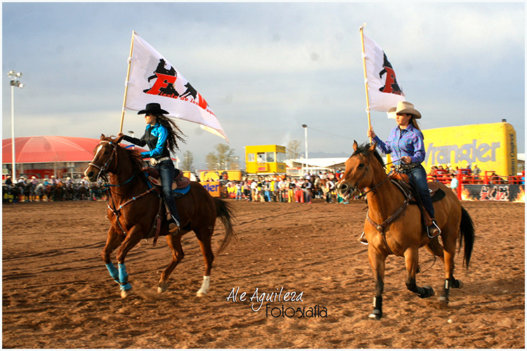 Circuito Wrangler 2014