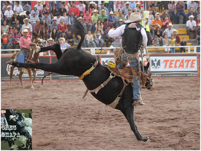 Documento sin título