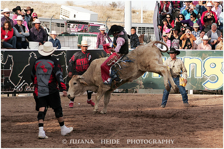 Untitled Document [www.vakeros.com]