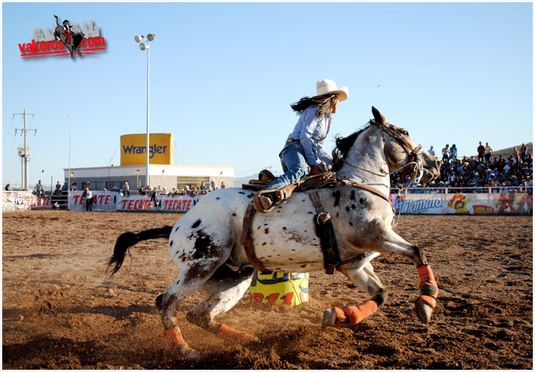 FINALES DEL CIRCUITO C