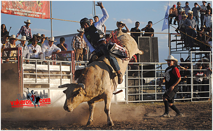 Rodeo del Festival de las 3 Culturas