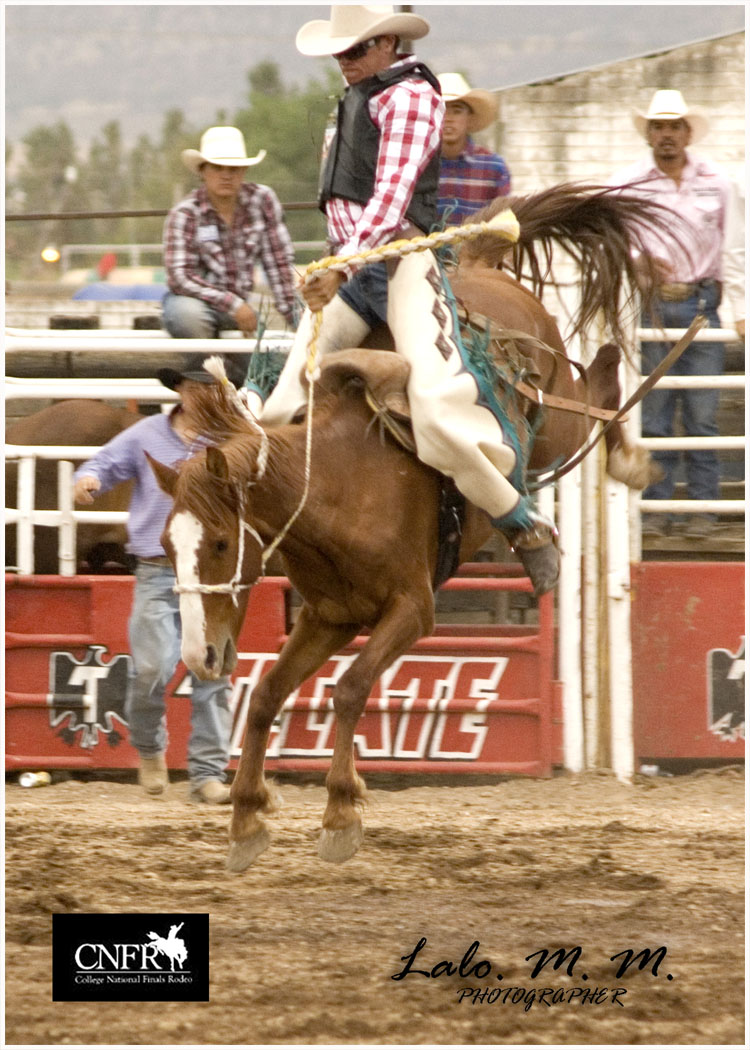 Fotos de Rodeo en Cd Cuauhtemoc Chih