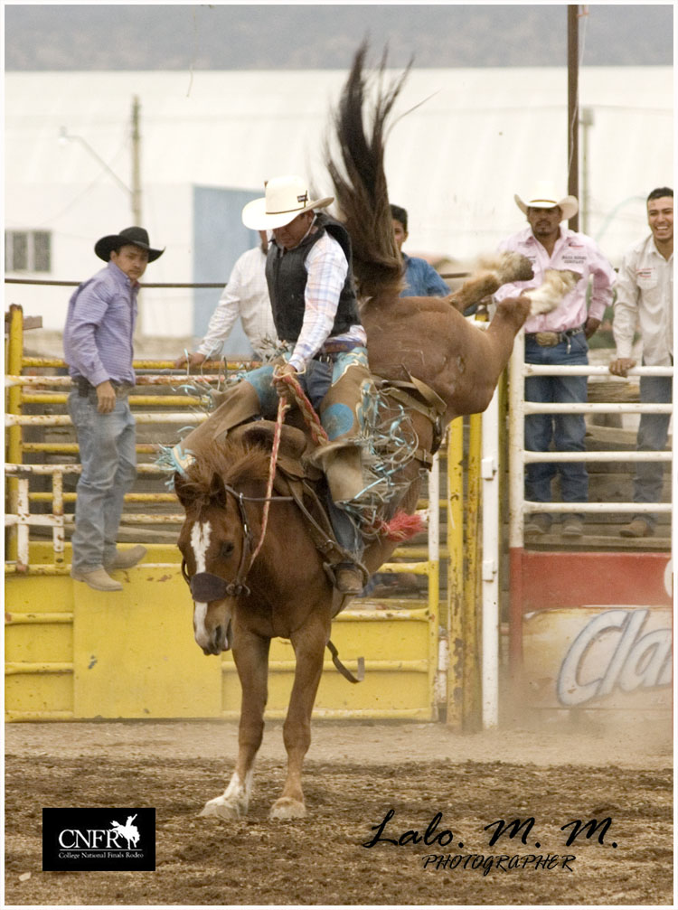 Fotos de Rodeo en Cd Cuauhtemoc Chih