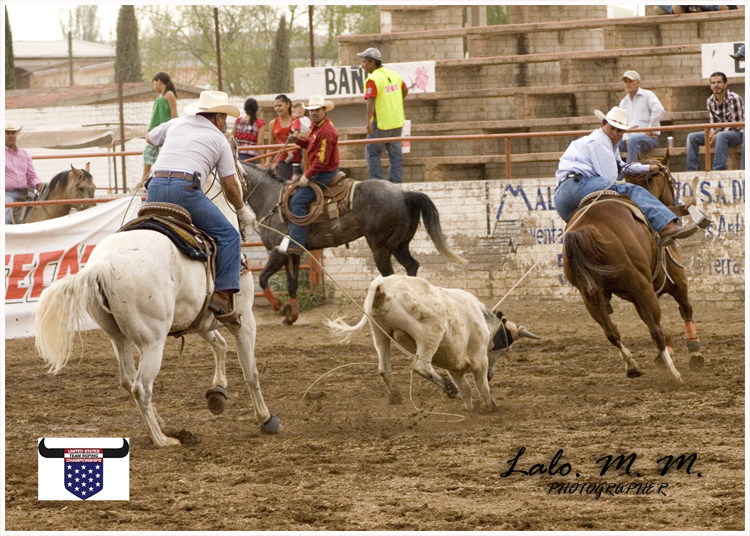 Fotos de Rodeo en Chihuahua