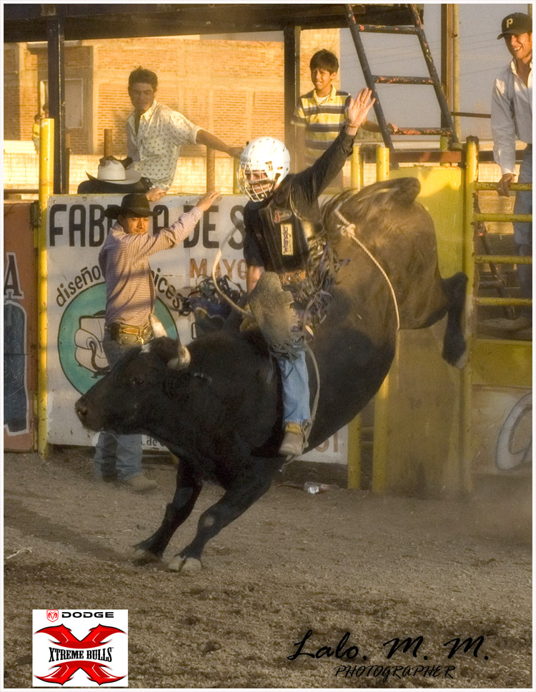Fotos de Rodeo en Chihuahua