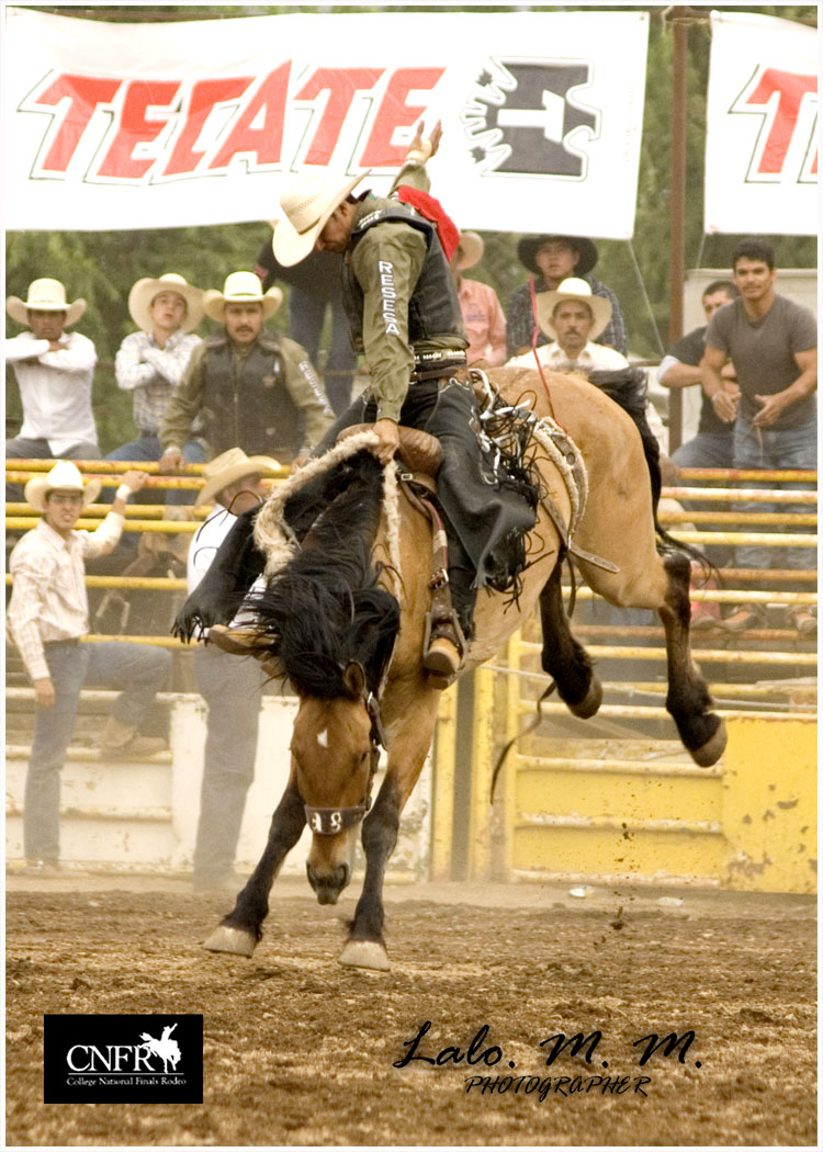 Fotos de Rodeo en Cd Cuauhtemoc Chih